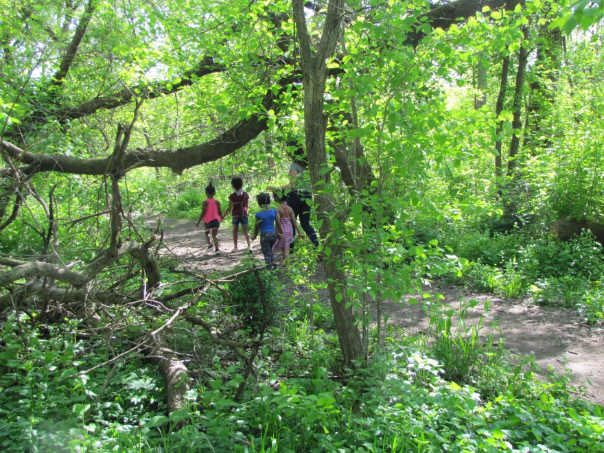 Our Work | Nearby Nature Milwaukee